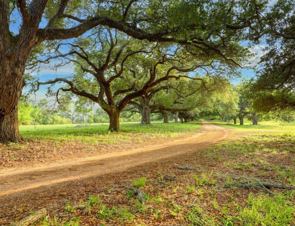 Acreage Communities | High Meadow Development